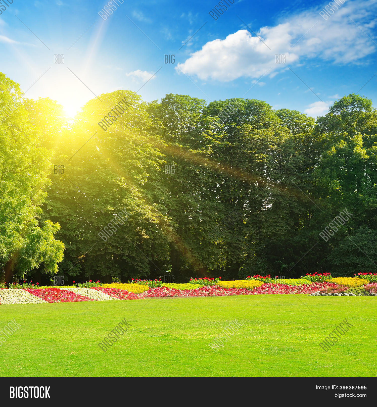 Backyard Spring, Image & Photo (Free Trial) | Bigstock