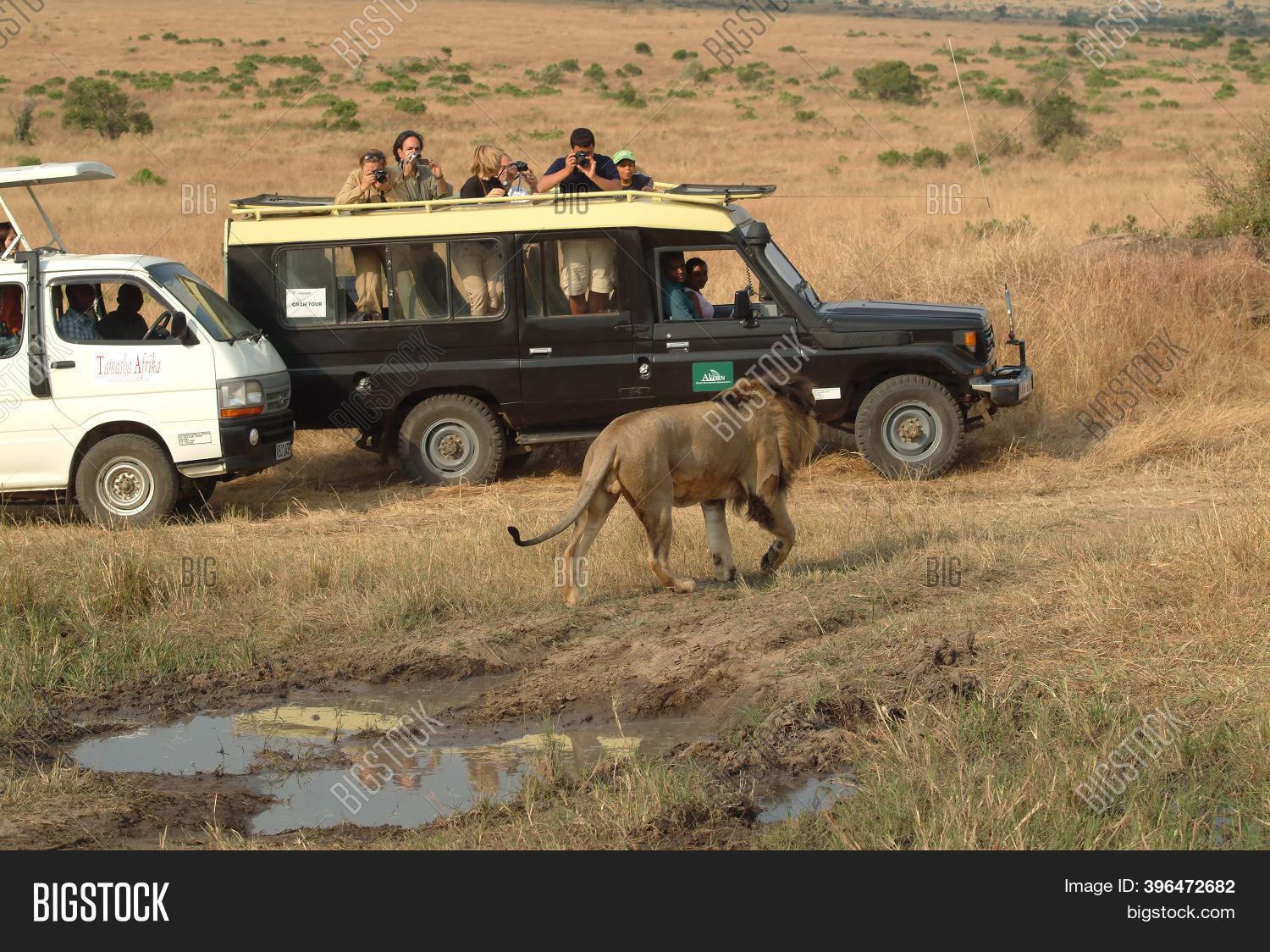 Masai Mara, Kenya - Image & Photo (Free Trial) | Bigstock