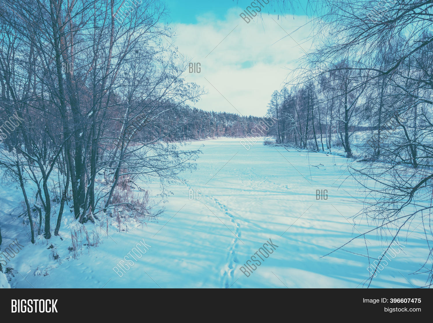Winter Snowy Scenery. Image & Photo (Free Trial) | Bigstock