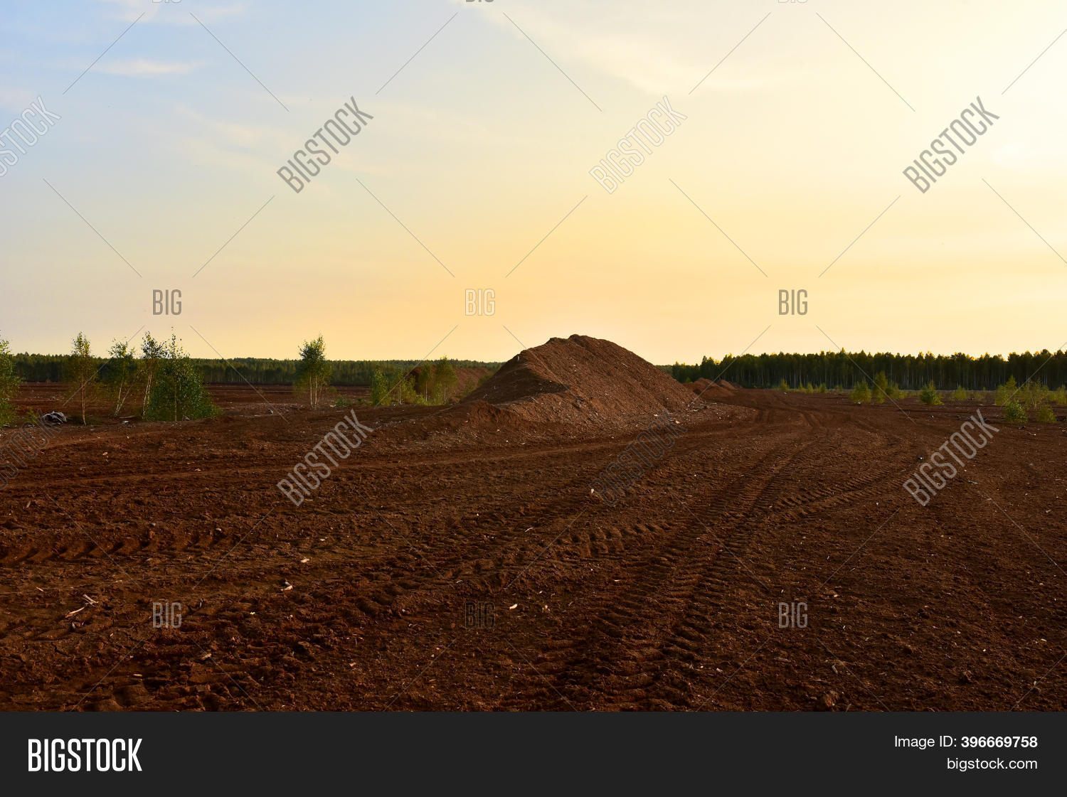 Landscape On Peatlands Image & Photo (Free Trial) | Bigstock