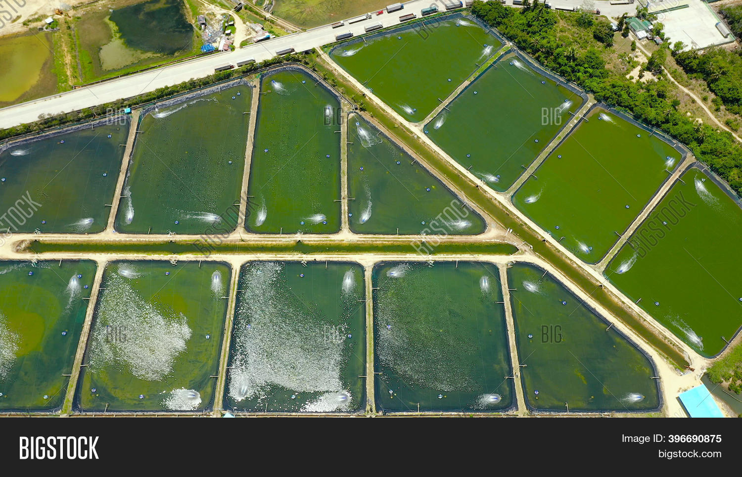 Shrimp Farm Ponds Image & Photo (Free Trial) | Bigstock