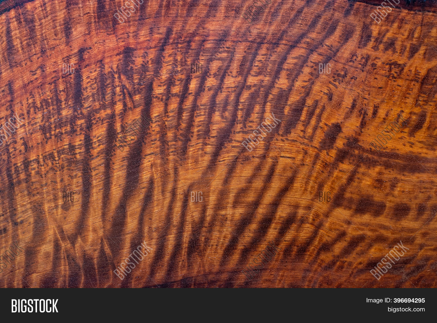 Natural Burma Padauk Image & Photo (Free Trial) | Bigstock