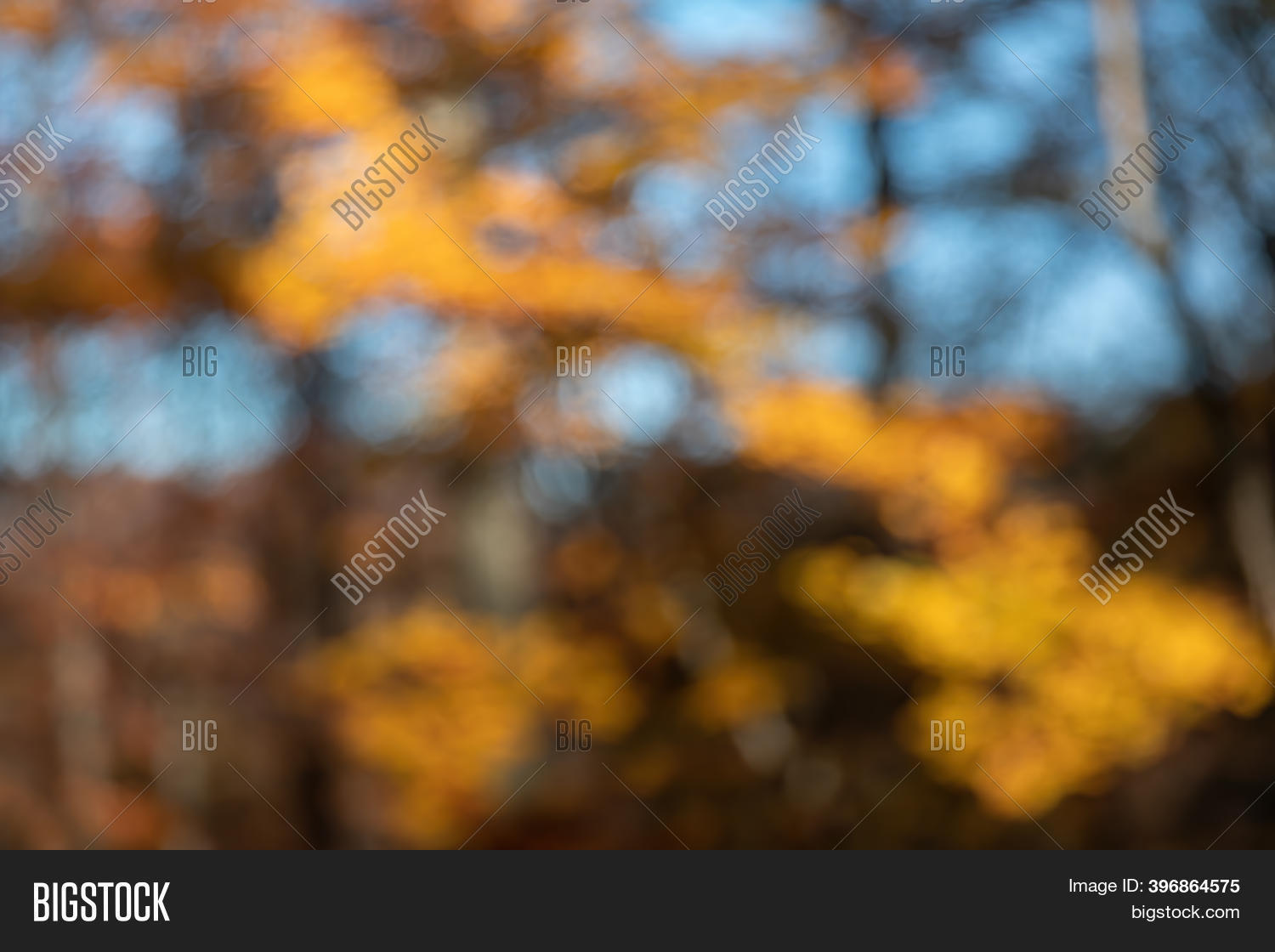 Blurred Bright Autumn Image & Photo (Free Trial) | Bigstock