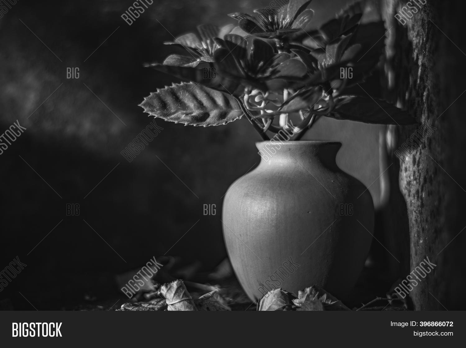 Still Life On Dark Image & Photo (Free Trial) | Bigstock