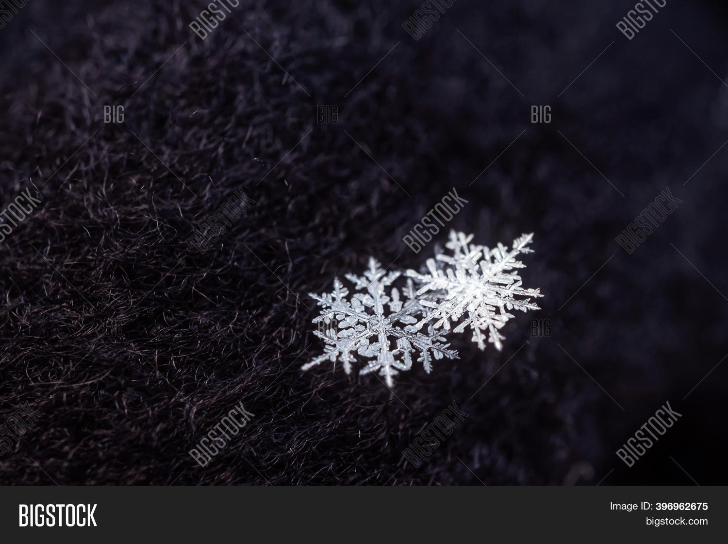 Snowflakes Close-. Image & Photo (Free Trial) | Bigstock