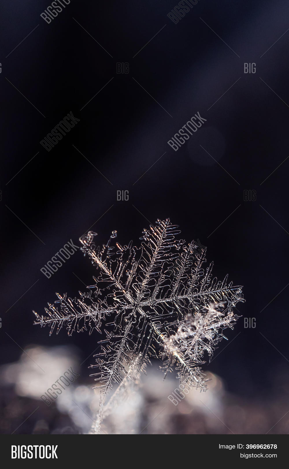 Snowflakes Close-. Image & Photo (Free Trial) | Bigstock