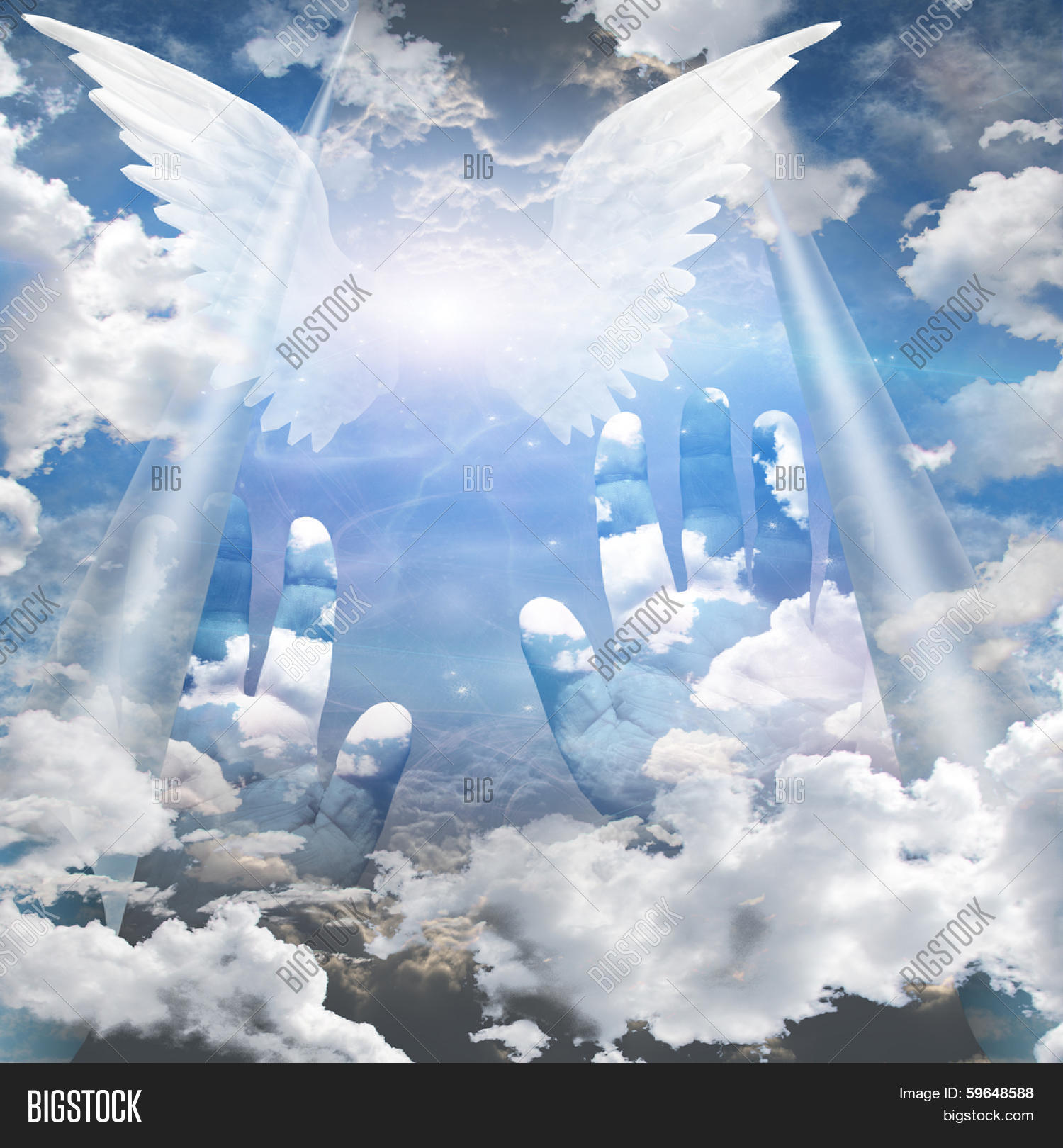 Hands Reach Toward Image & Photo (Free Trial) | Bigstock