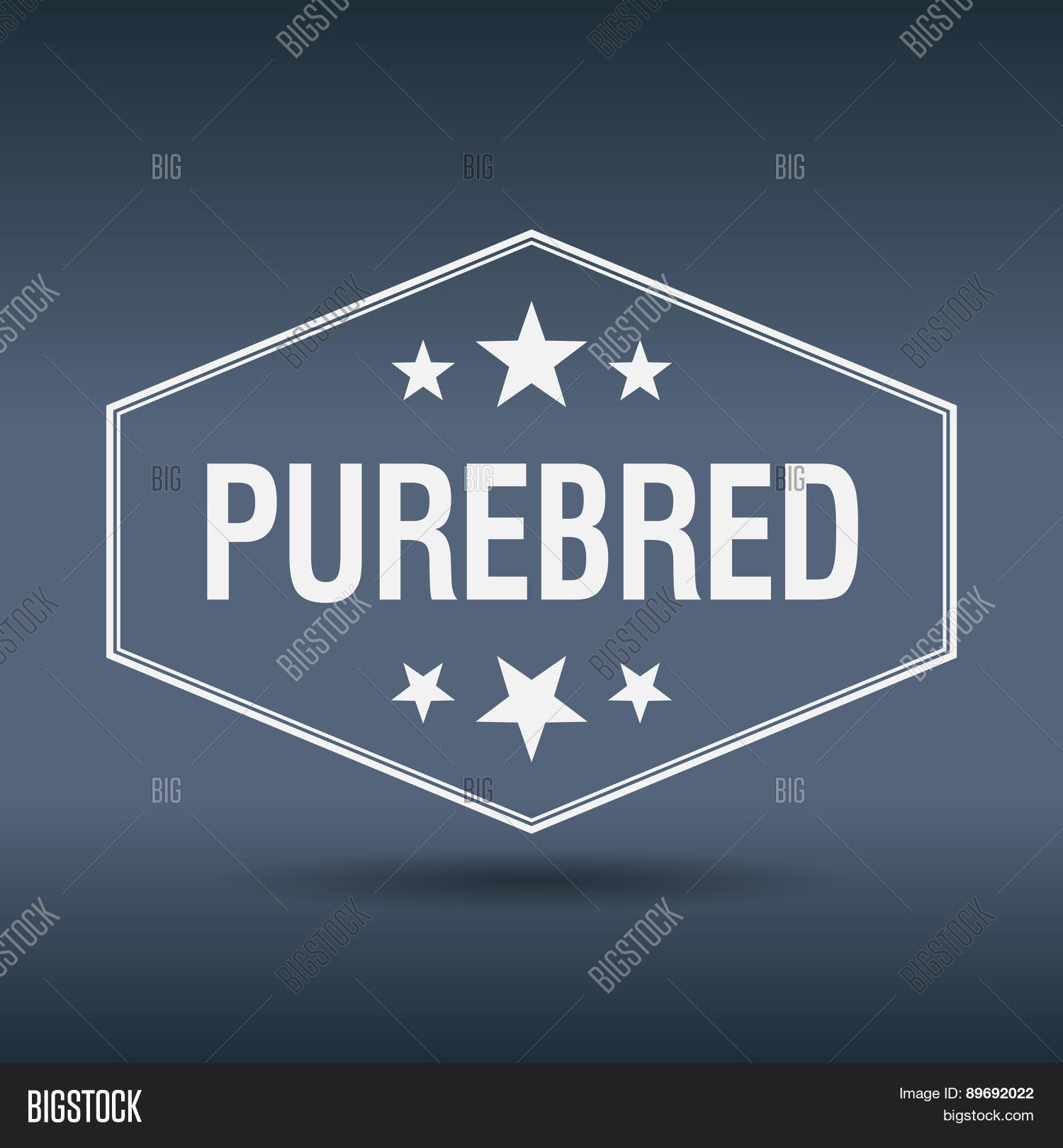 Purebred Hexagonal Vector & Photo (Free Trial) | Bigstock
