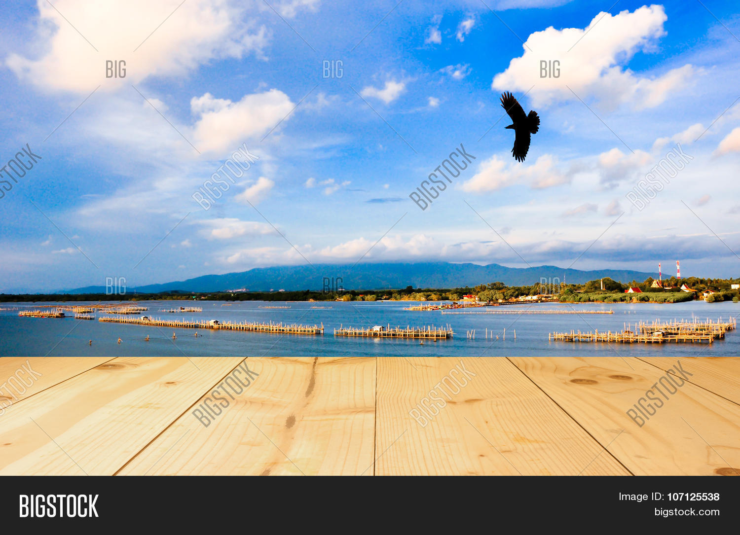 Bird Flying On Bule Image & Photo (Free Trial) | Bigstock