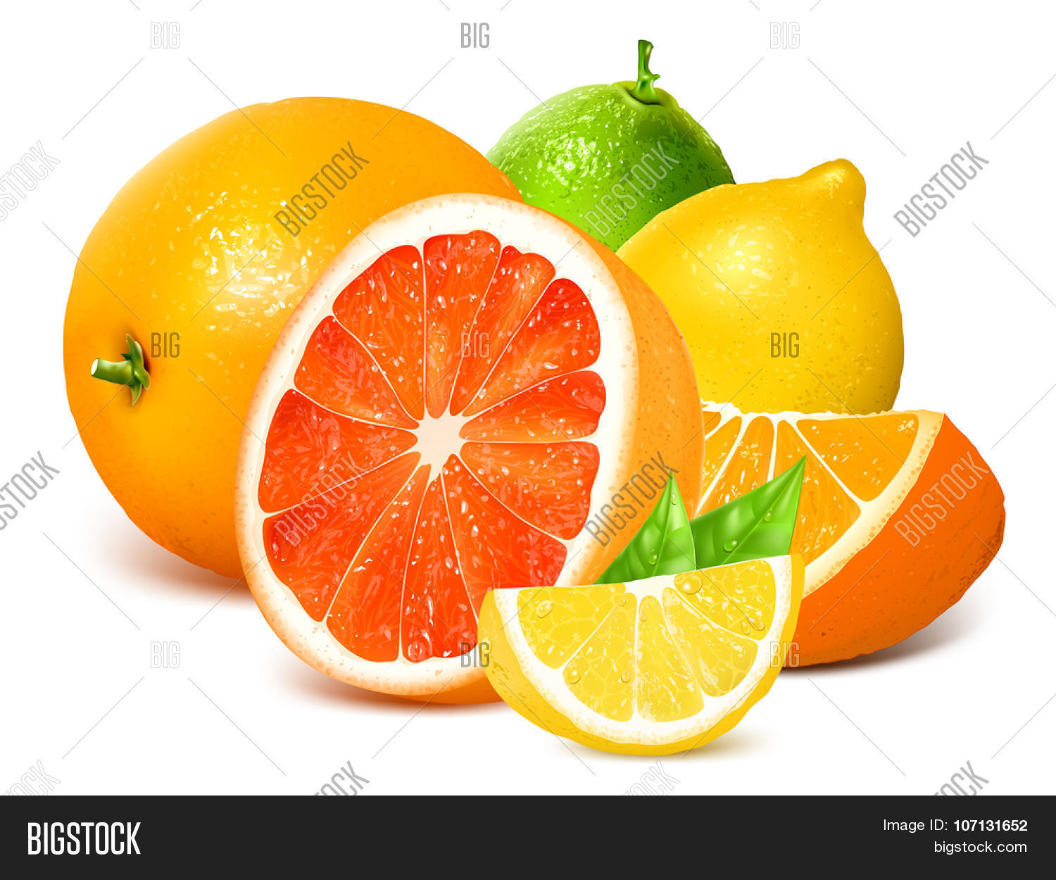 Fresh Citrus Fruits. Vector & Photo (Free Trial) | Bigstock