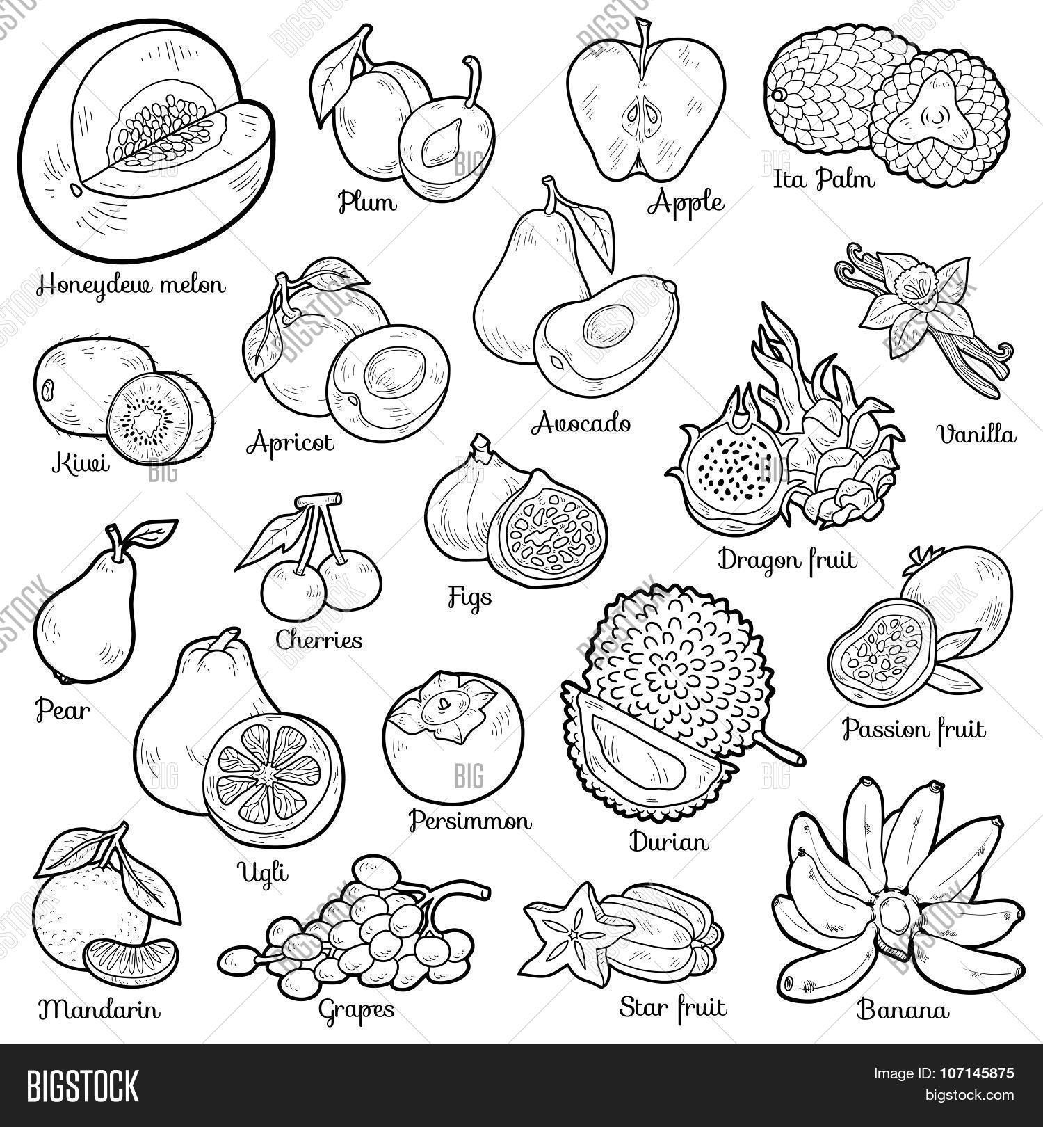 Colorless Set Vector & Photo (Free Trial) | Bigstock