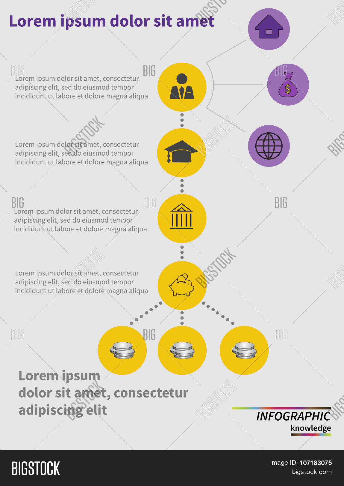 Step By Step Vector & Photo (Free Trial) | Bigstock