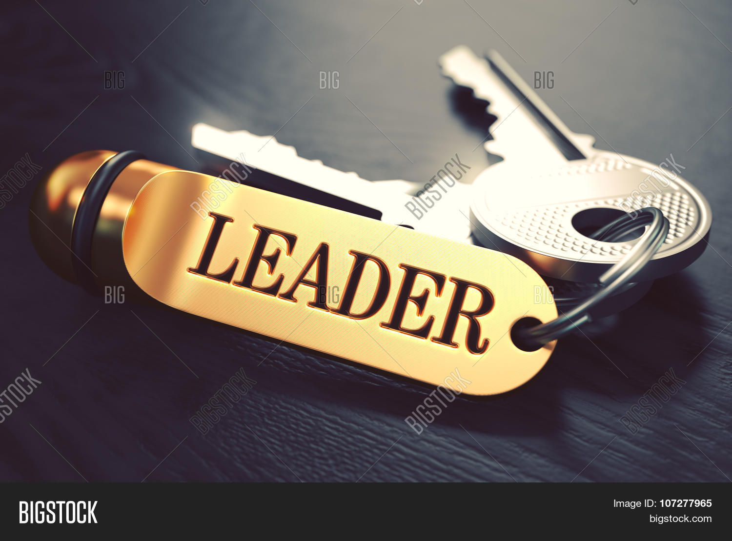 Keys Word Leader On Image & Photo (Free Trial) | Bigstock