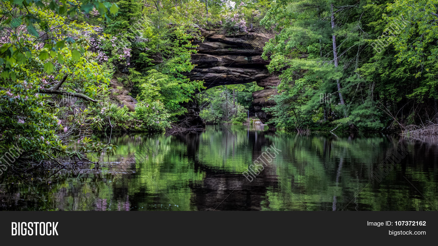 Tennessee Scenery Image & Photo (Free Trial) | Bigstock