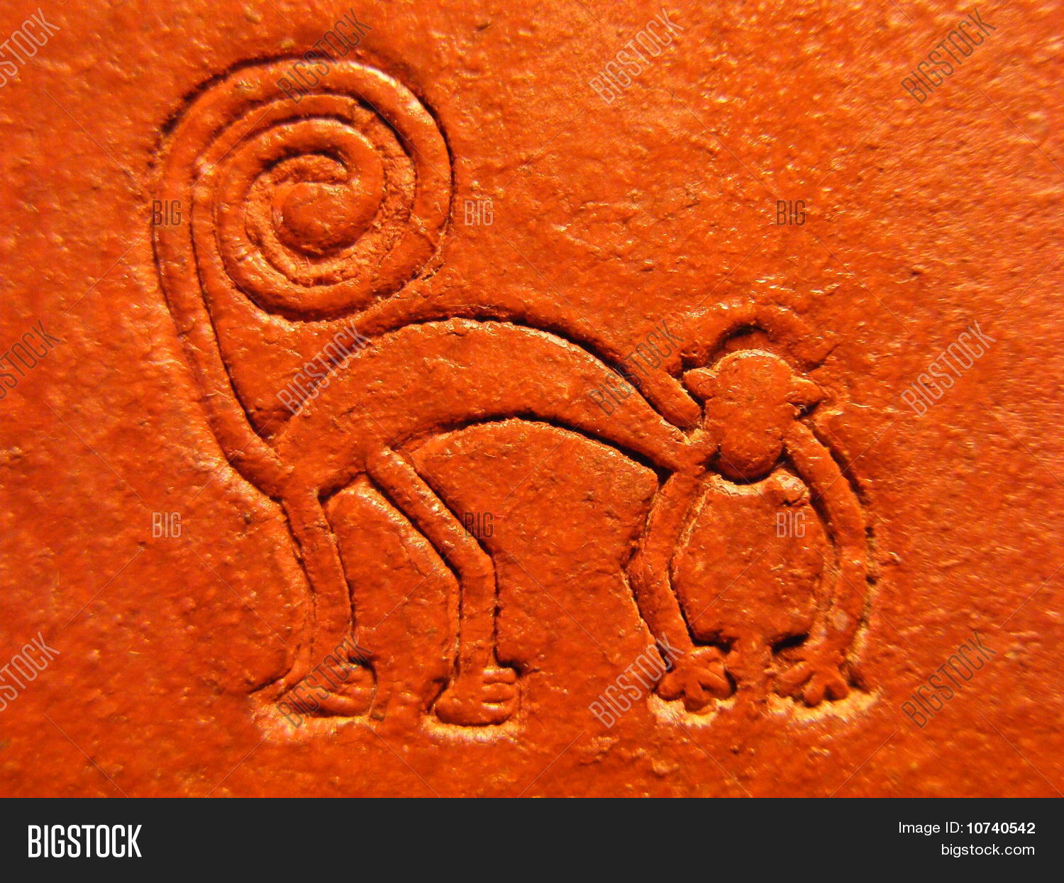 Monkey Curly Tail Image & Photo (Free Trial) | Bigstock