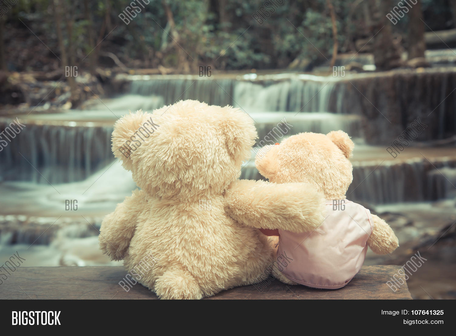 Bears Love Hugs Image & Photo (Free Trial) | Bigstock