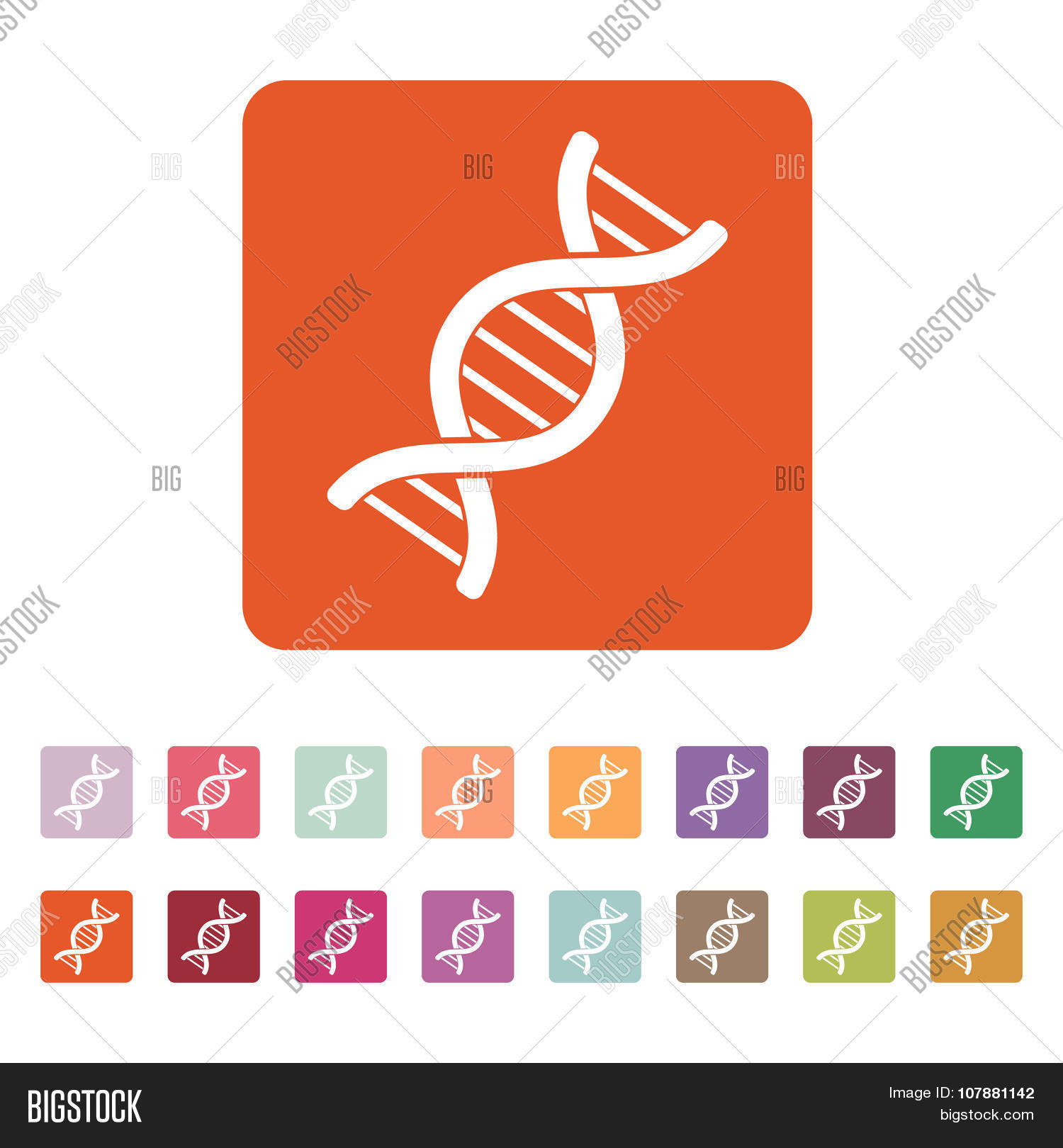 Dna Icon. Genetics Vector & Photo (Free Trial) | Bigstock
