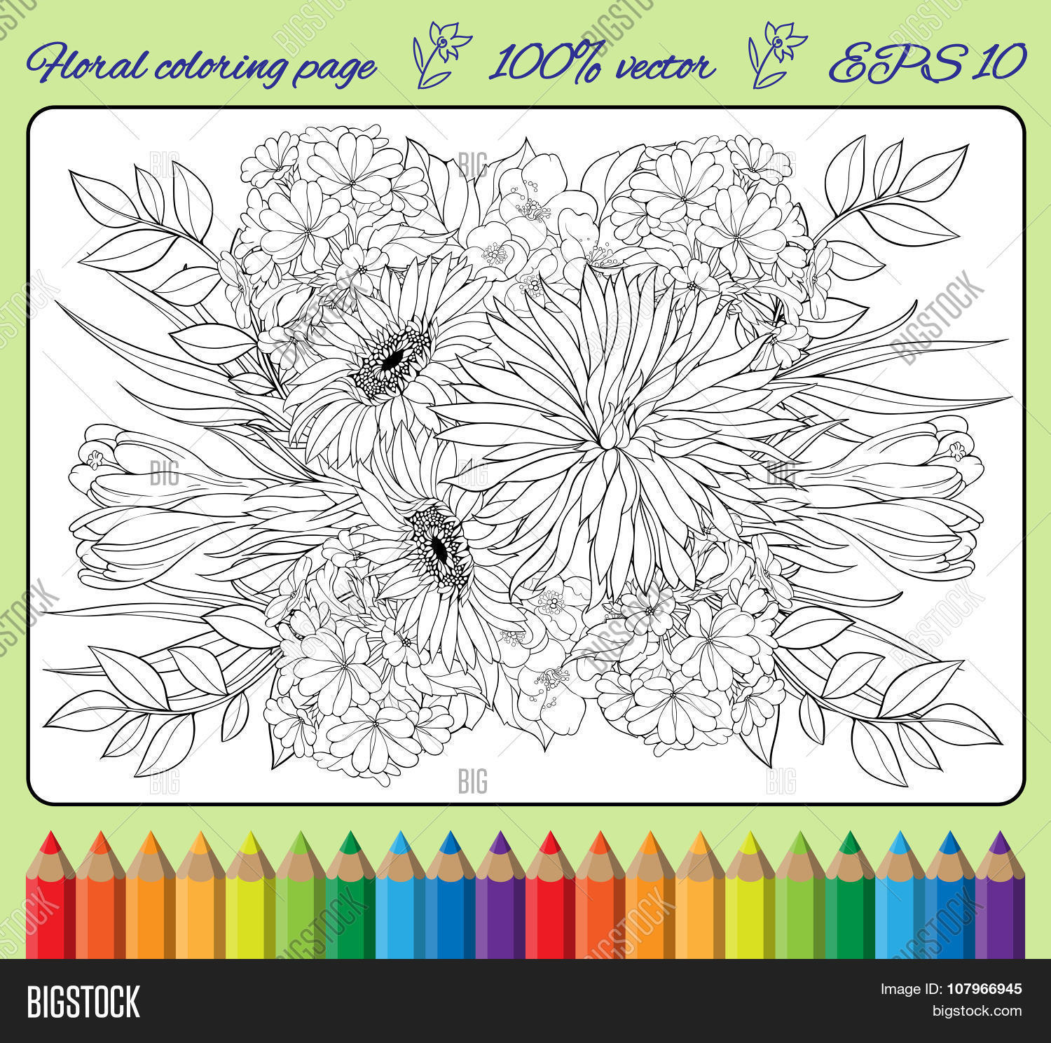 Coloring Page Close- Vector & Photo (Free Trial) | Bigstock