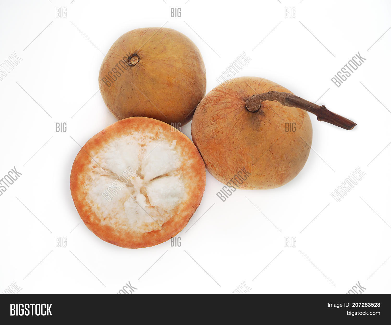 Santol Fruit Sentul Image & Photo (Free Trial) | Bigstock