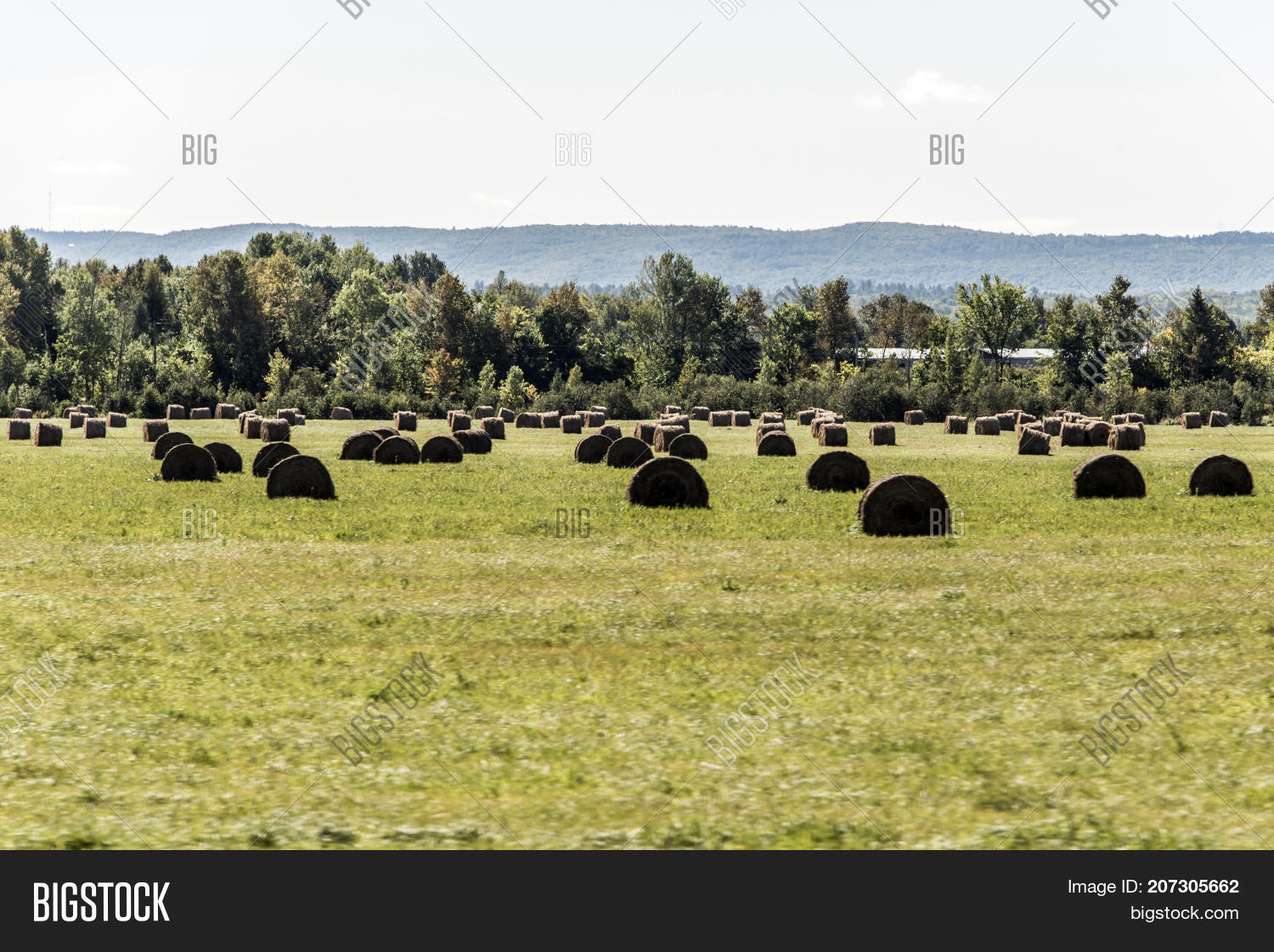 Rural Ontario Farm Image & Photo (Free Trial) | Bigstock