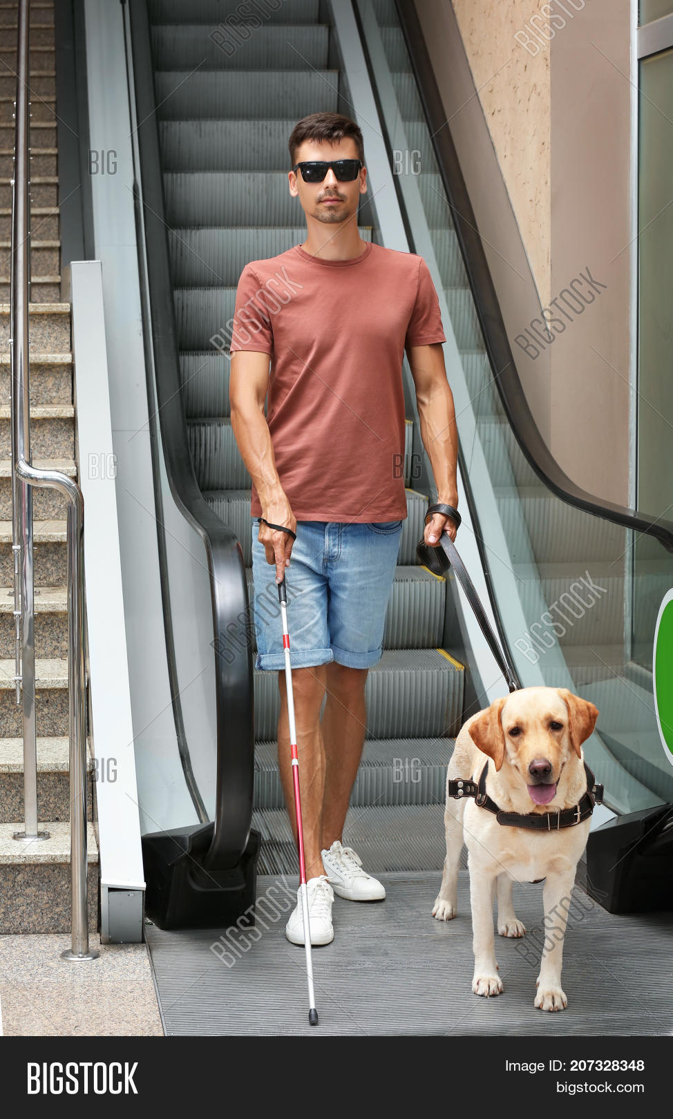 Blind Man Guide Dog Image & Photo (Free Trial) | Bigstock