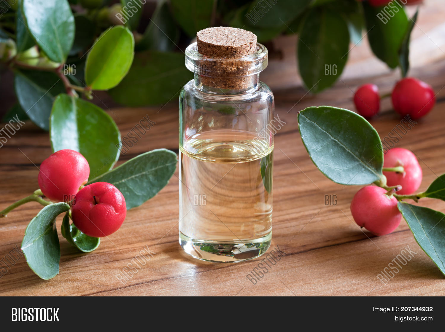 Bottle Wintergreen Image & Photo (Free Trial) | Bigstock