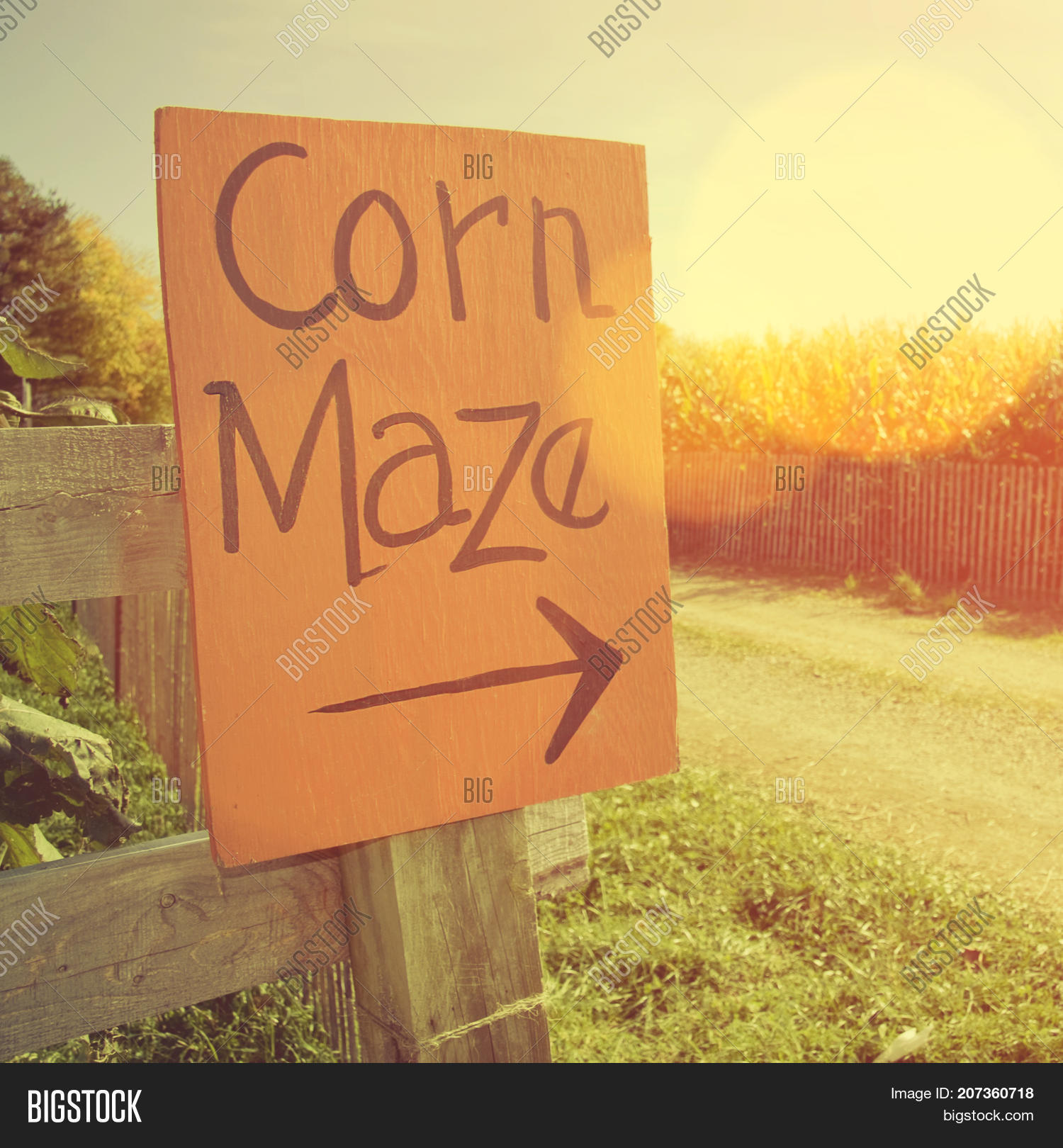 Corn Maze Sign Next Image & Photo (Free Trial) | Bigstock