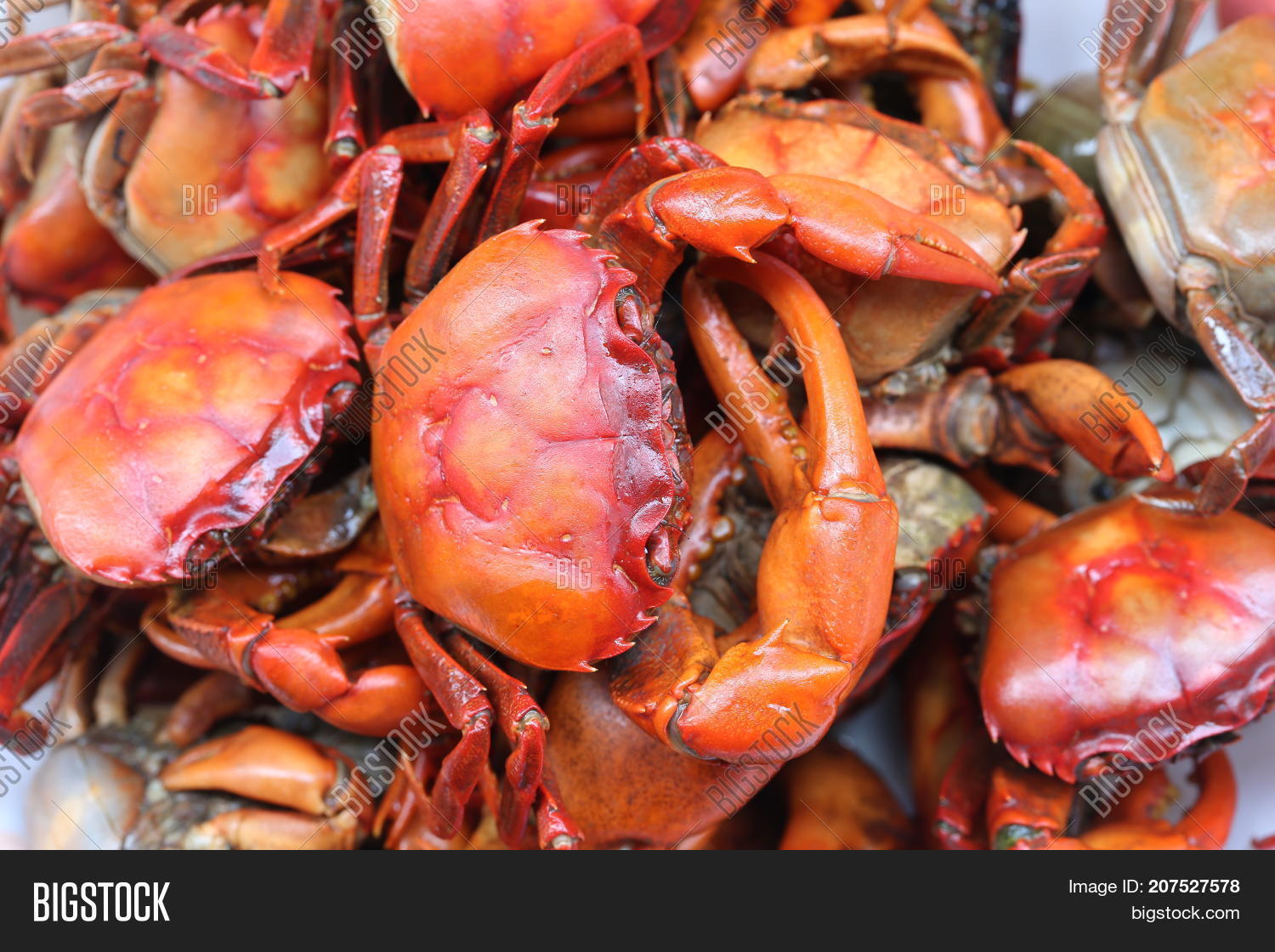 Boil Rice Field Crabs Image & Photo (Free Trial) | Bigstock