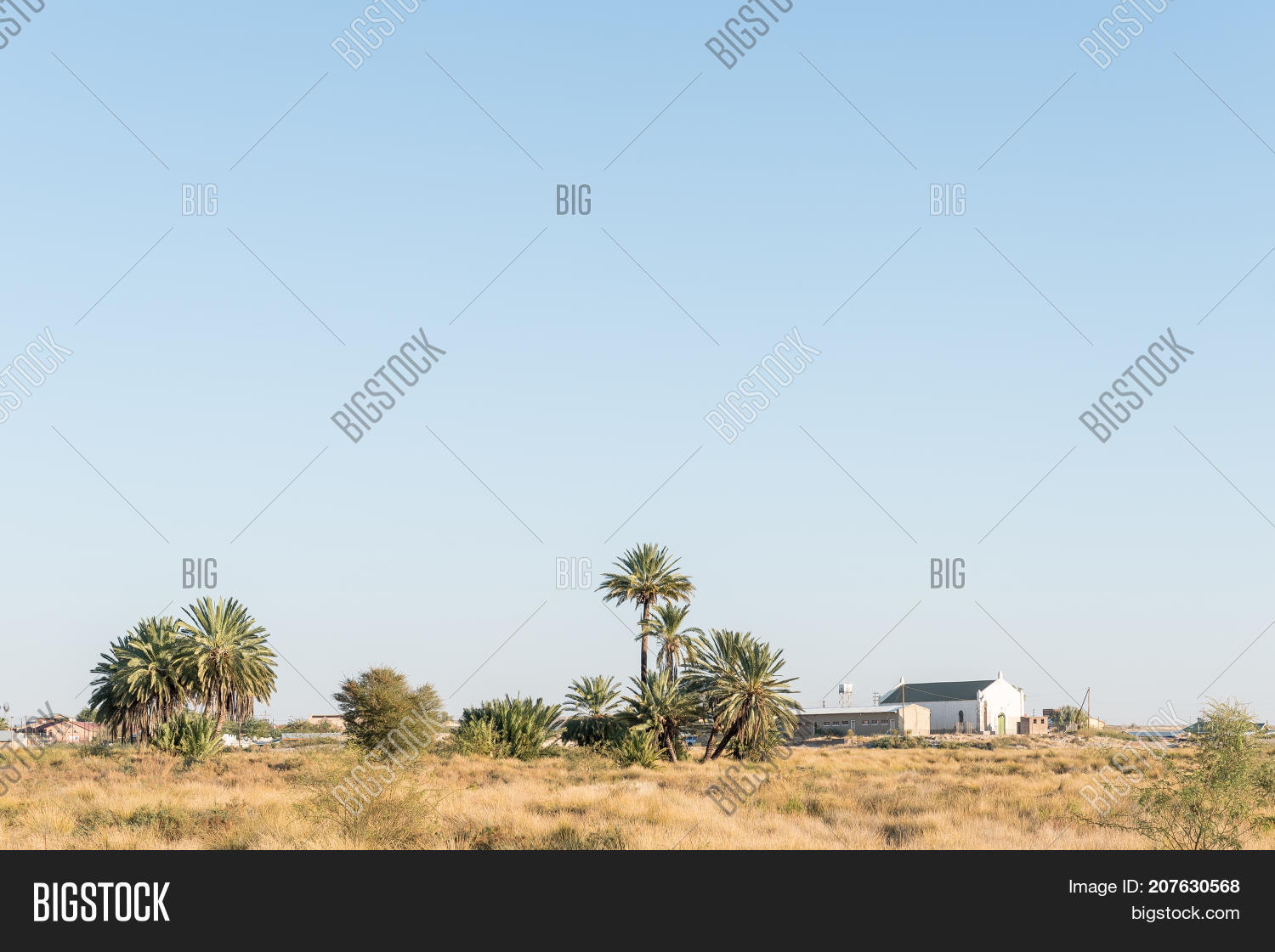 View Rietfontein Small Image & Photo (Free Trial) | Bigstock