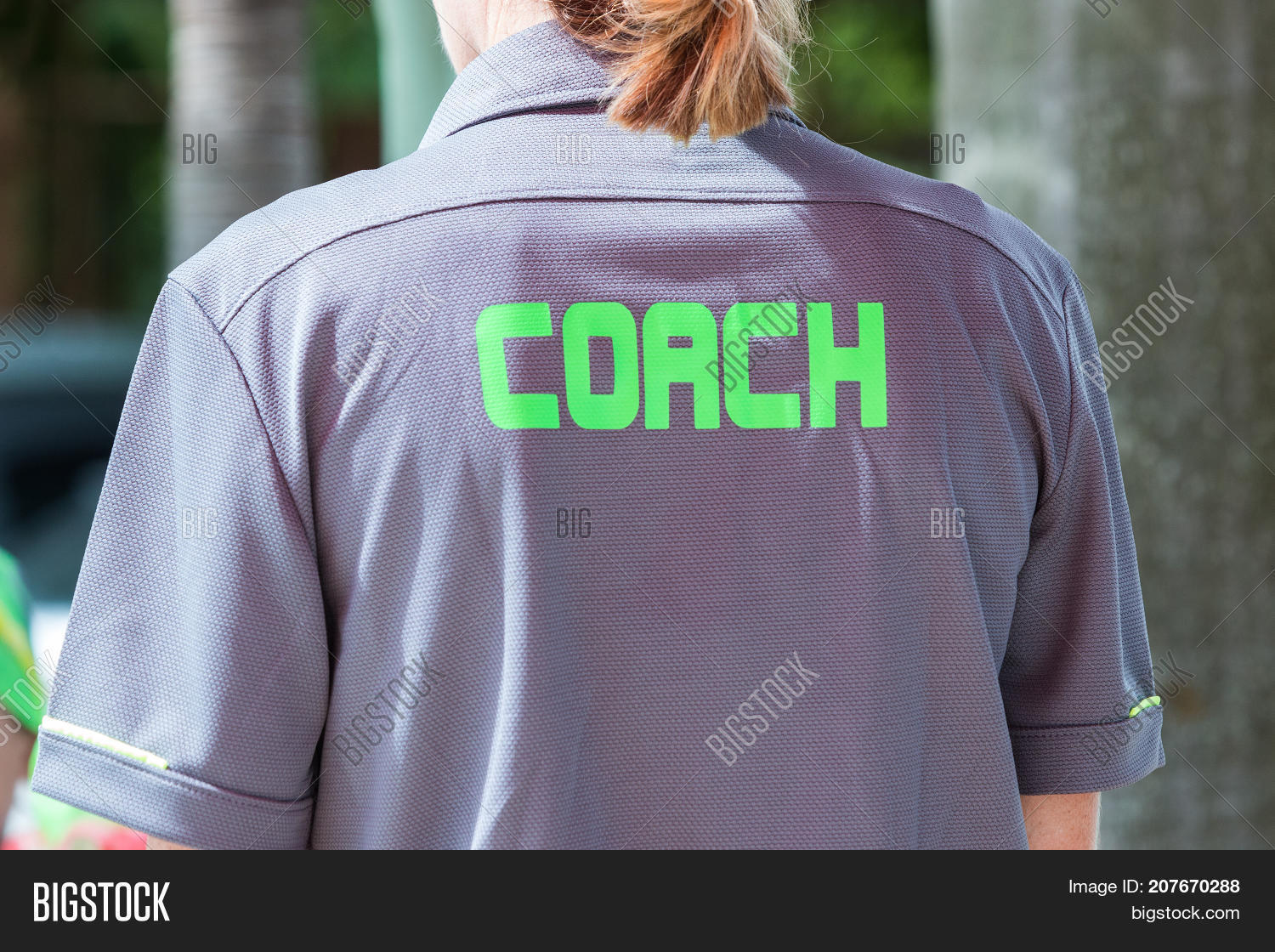 Back Coach's Grey Image & Photo (Free Trial) | Bigstock