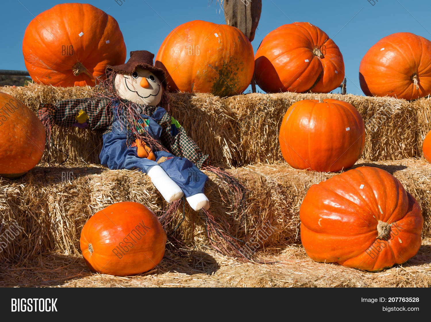 Scarecrow Resting On Image & Photo (Free Trial) | Bigstock