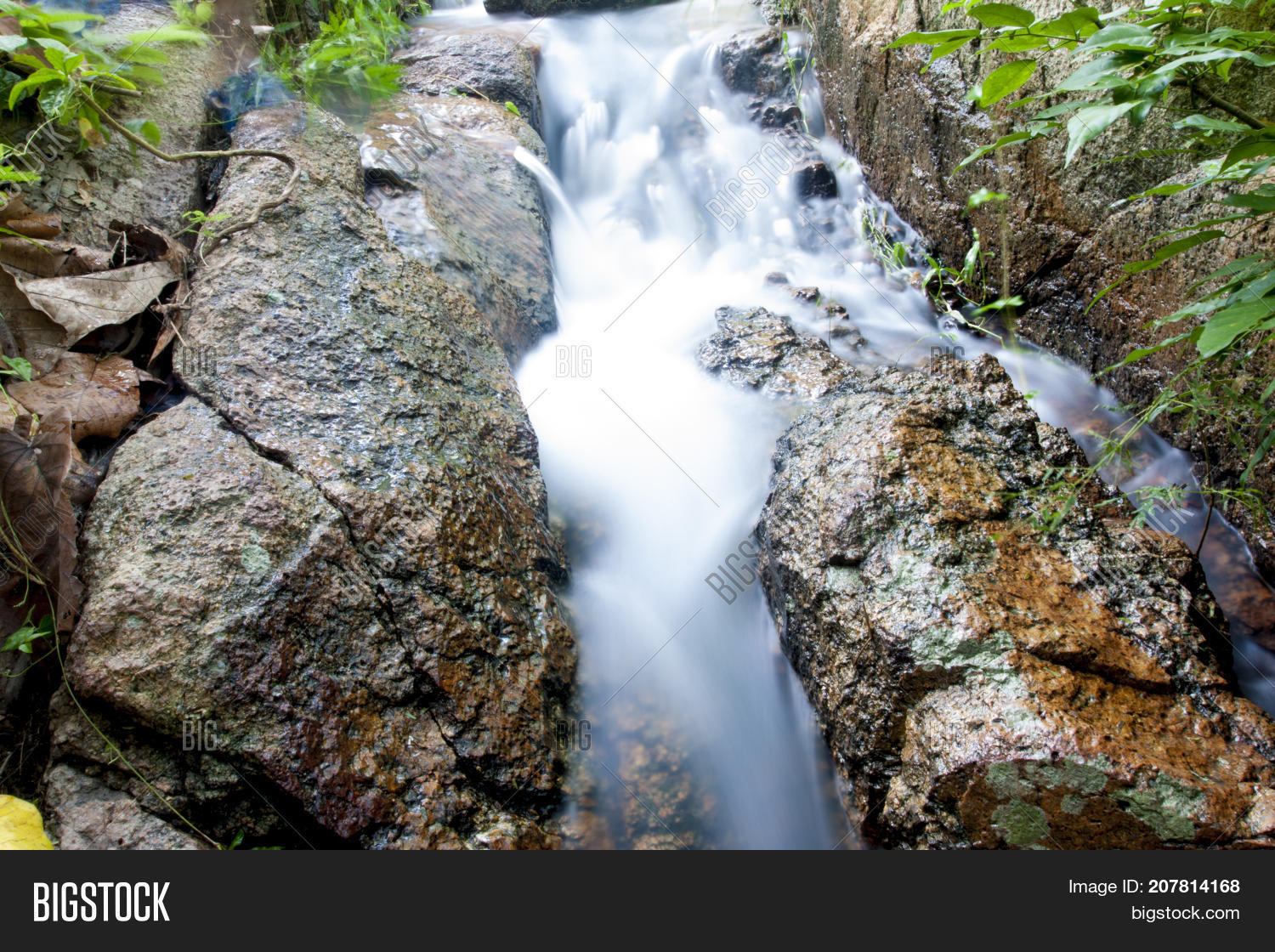 Nature Small Water Image & Photo (Free Trial) | Bigstock