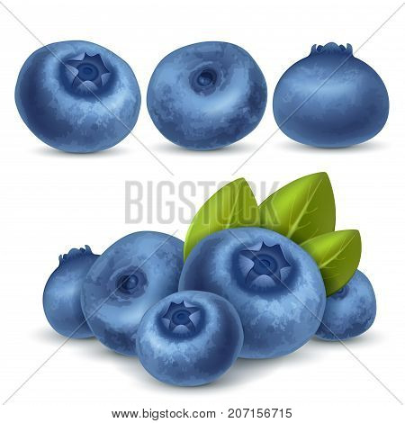 Mora Azul Imágenes, ilustraciones y vectores; Mora Azul fotos e ...