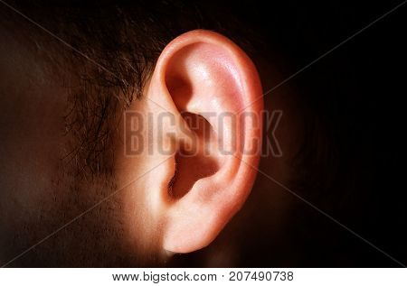 Human Male Ear On Dark Image & Photo (Free Trial) | Bigstock