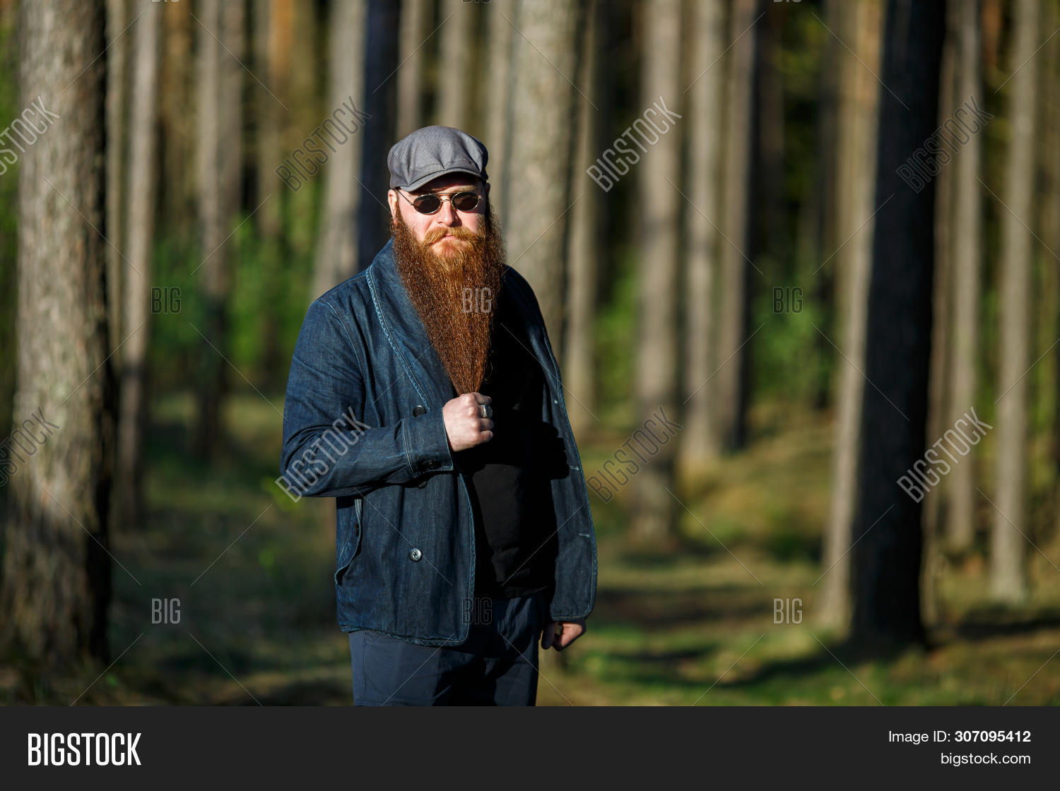 Bearded Man. Portrait Image & Photo (Free Trial) | Bigstock