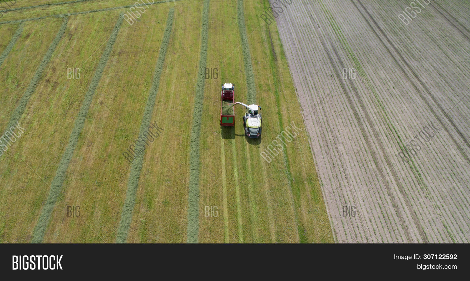 Grass Harvester Image & Photo (Free Trial) | Bigstock
