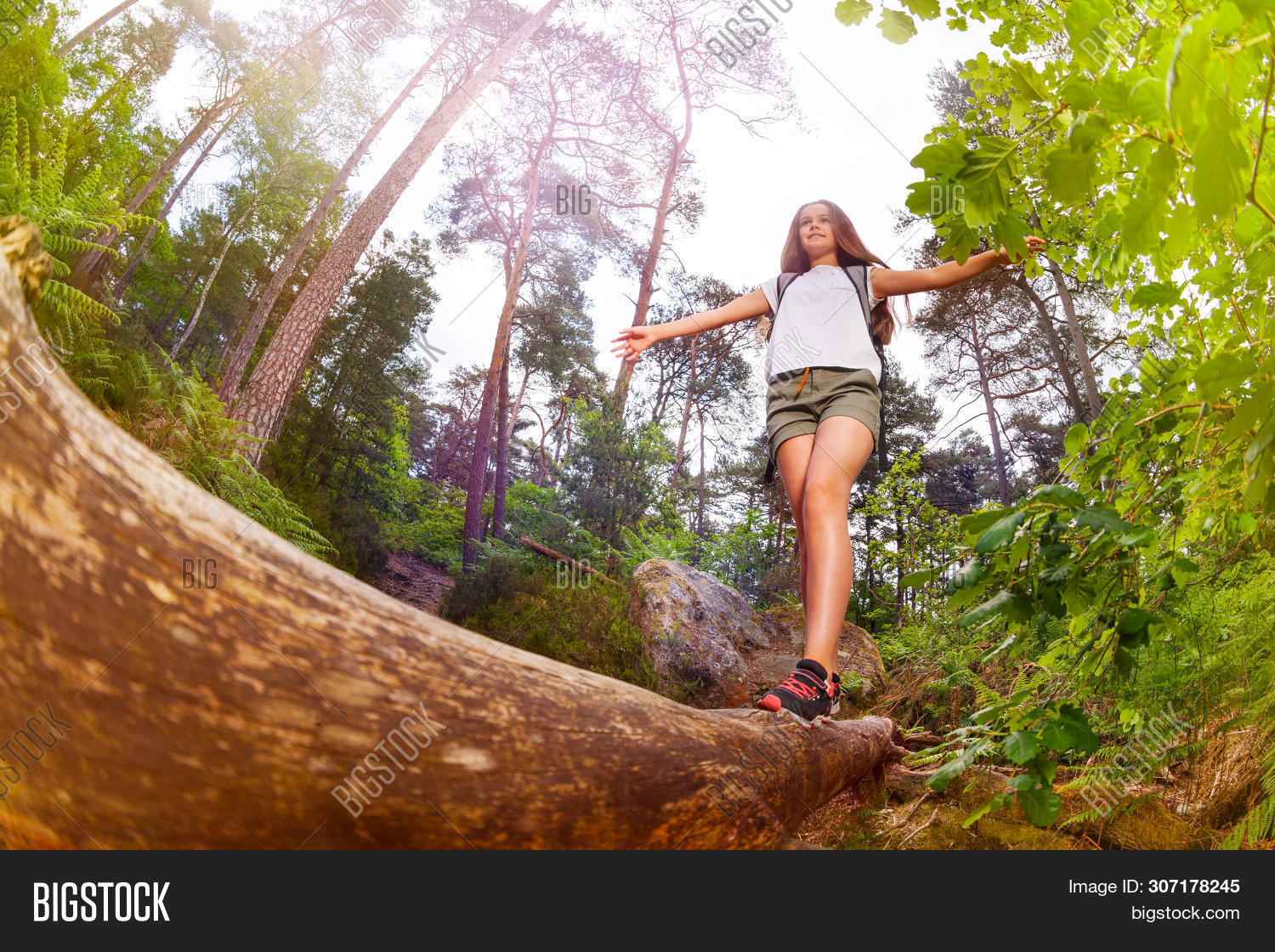 Girl Walks Over Log Image & Photo (Free Trial) | Bigstock