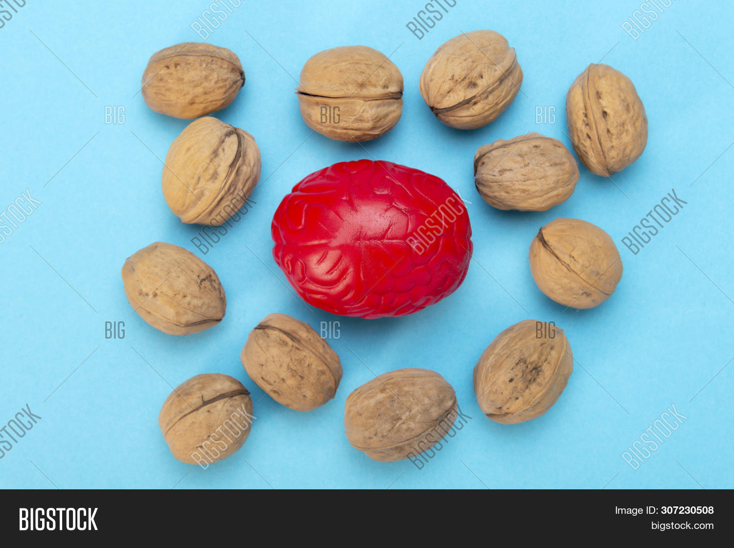 Walnuts Like Healthy Image & Photo (Free Trial) | Bigstock
