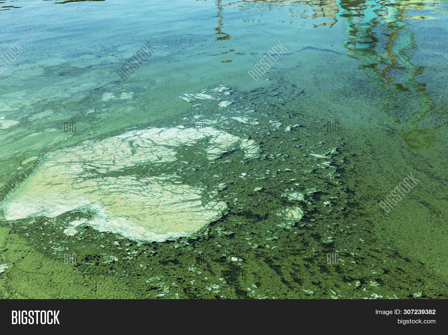 Dirty Wave Old Dirty Image & Photo (Free Trial) | Bigstock