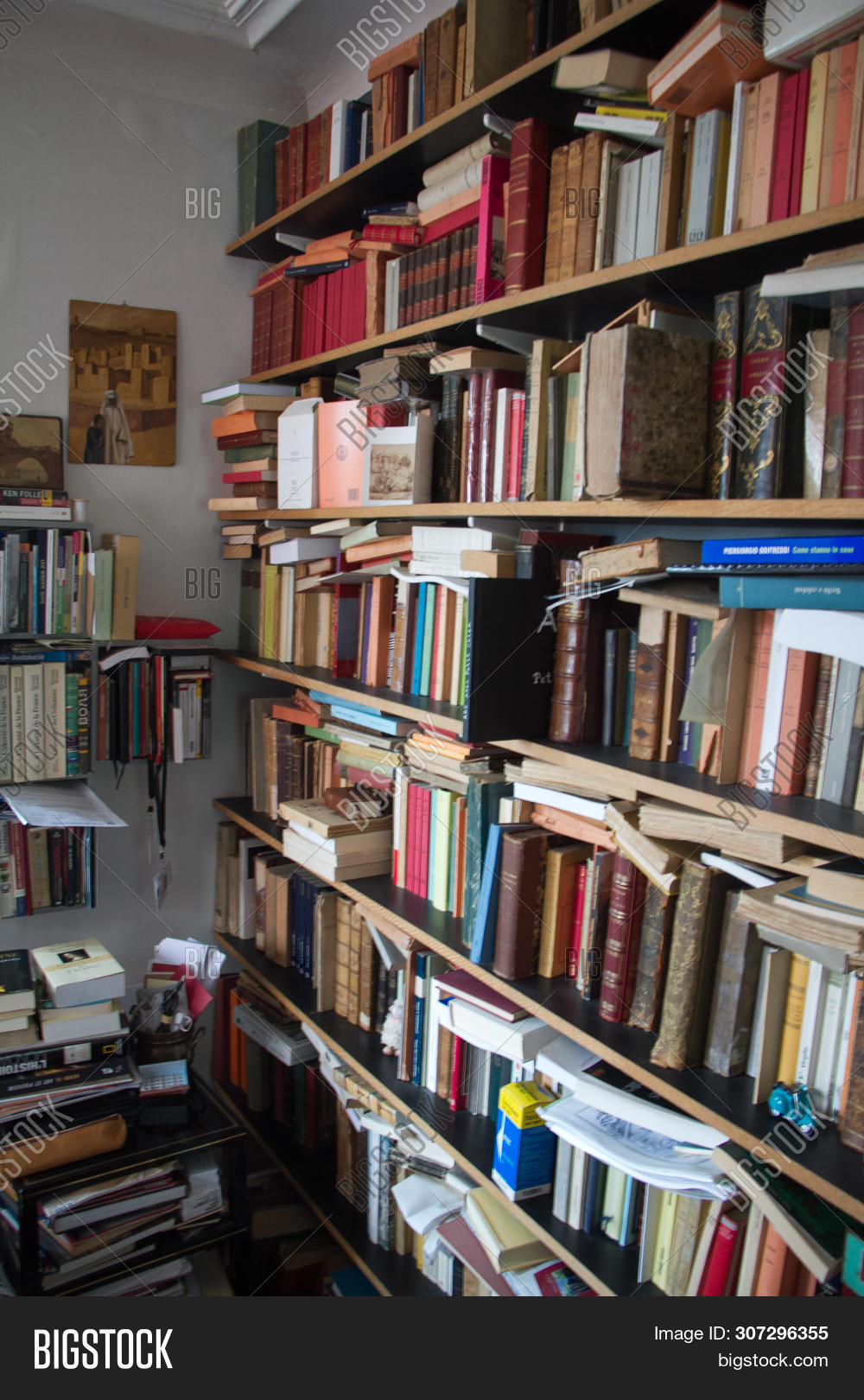 Home Library Huge Image & Photo (Free Trial) | Bigstock