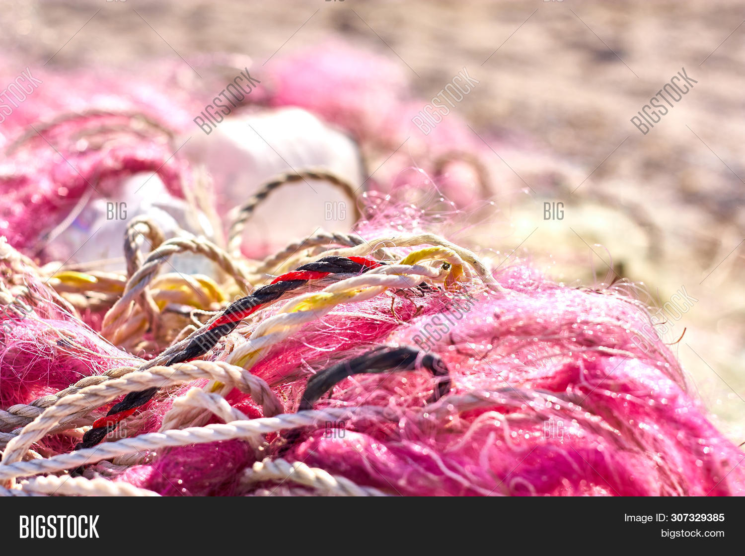 Tangled Mess Fishing Image & Photo (Free Trial) | Bigstock