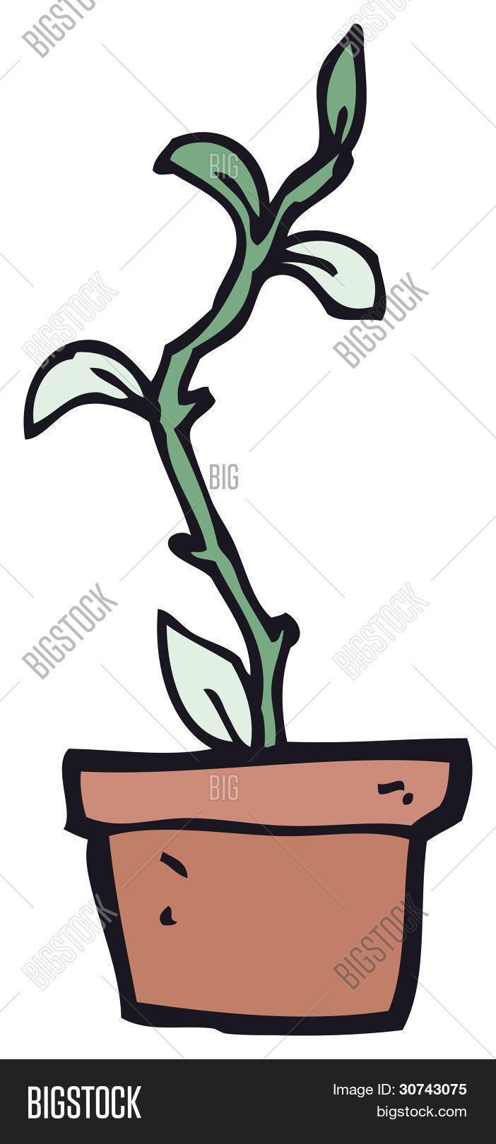 Cartoon House Plant Image & Photo (Free Trial) | Bigstock