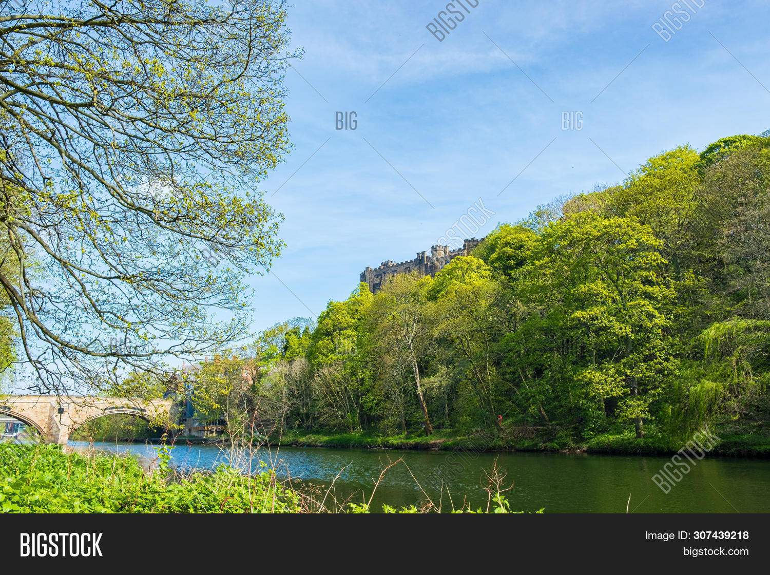 Beautiful Scene River Image & Photo (Free Trial) | Bigstock
