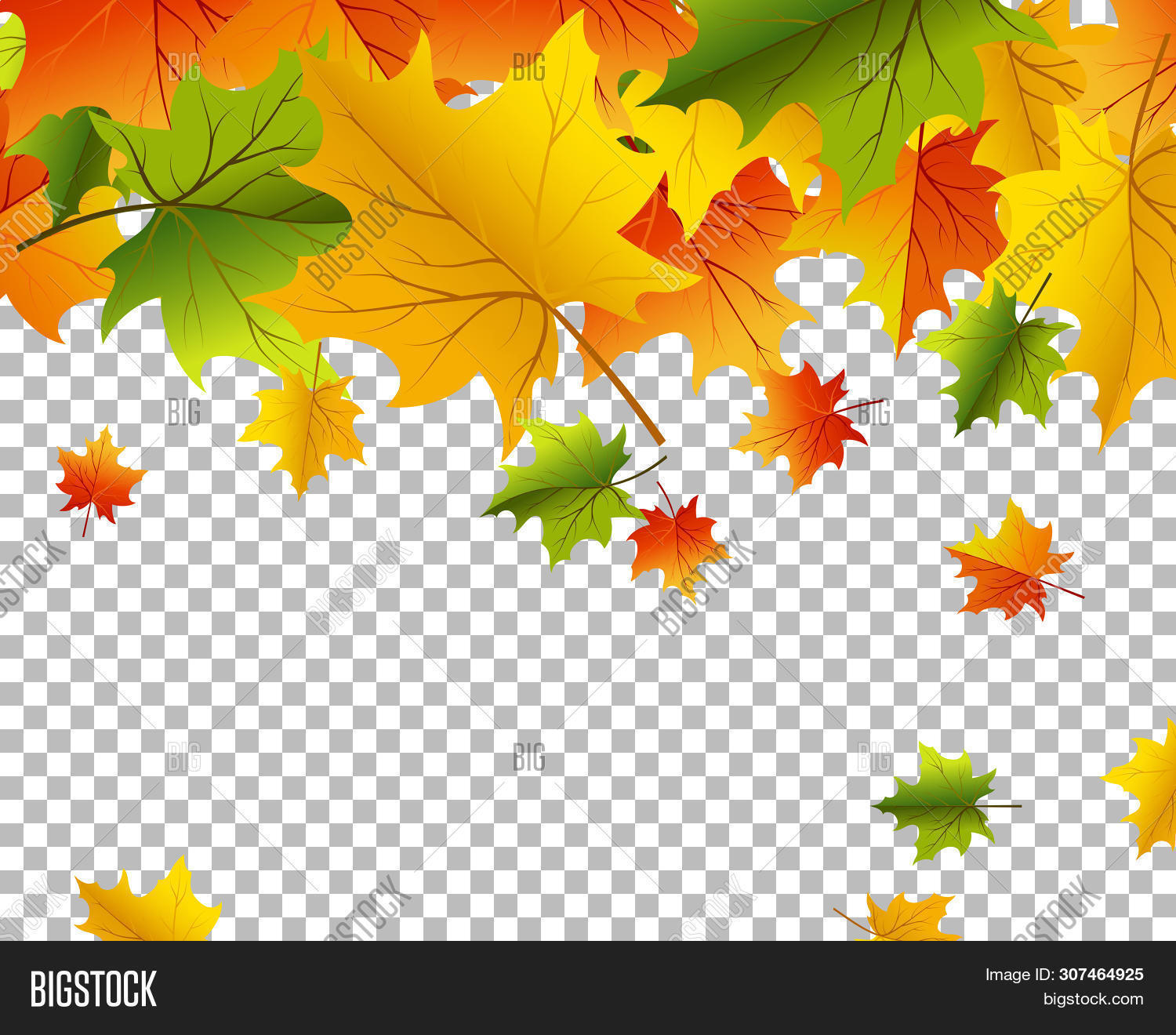 Falling Maple Leaves Vector & Photo (Free Trial) | Bigstock