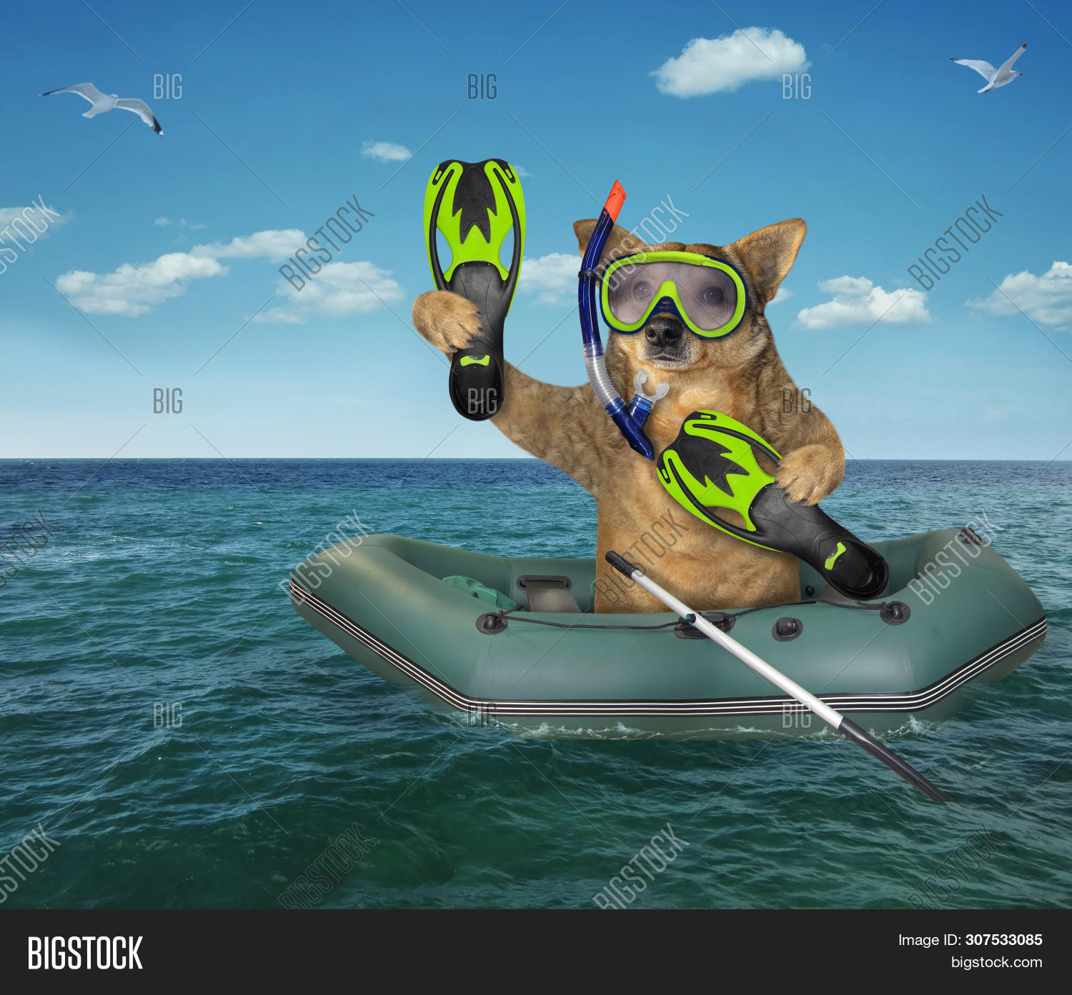 Dog Diver Mask, Image & Photo (Free Trial) | Bigstock
