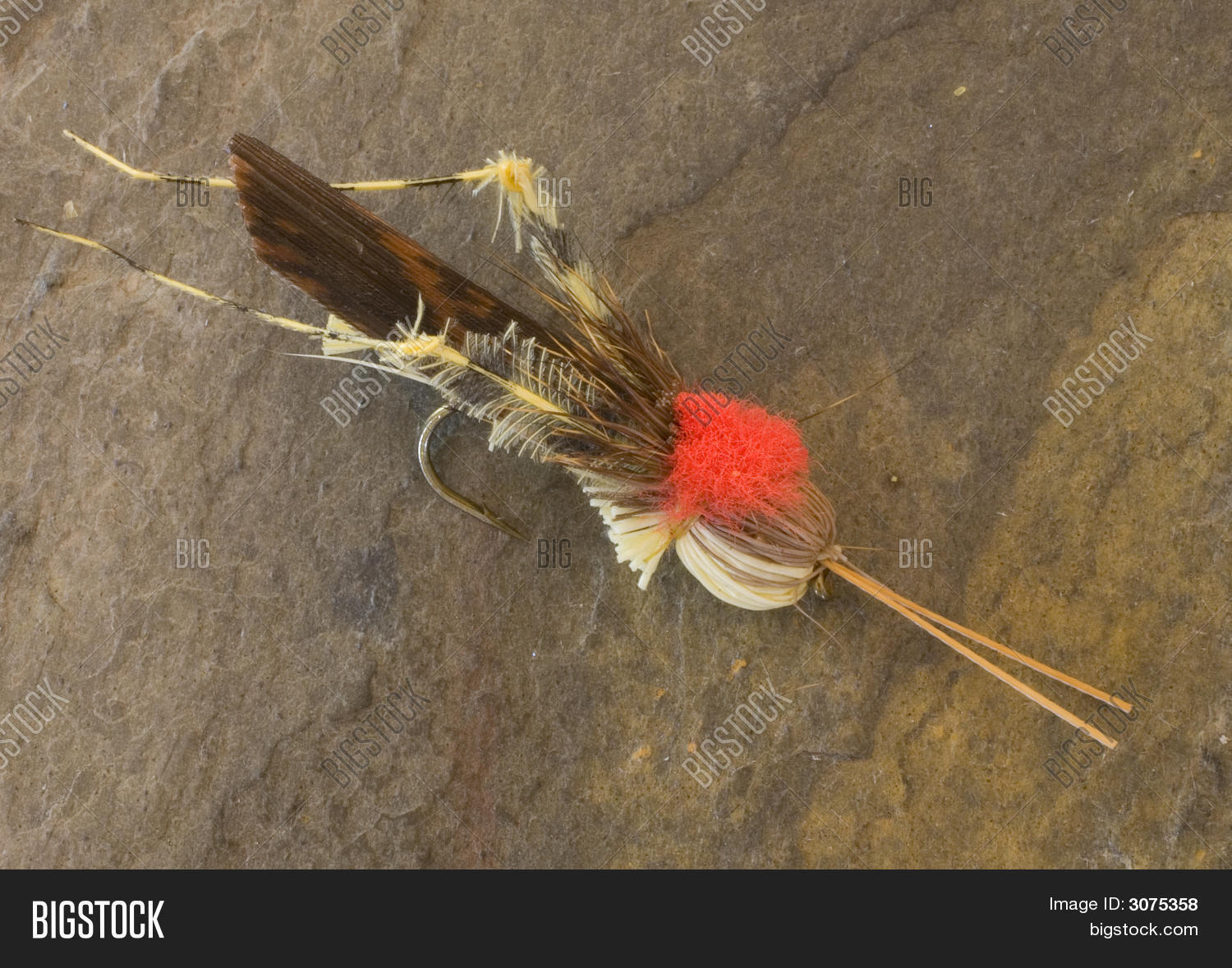 Grasshopper Lure Image & Photo (Free Trial) | Bigstock