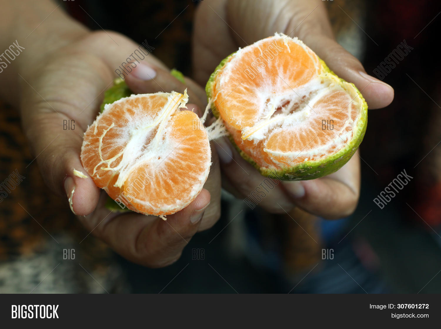 Orange Peeled By Hand Image & Photo (Free Trial) | Bigstock