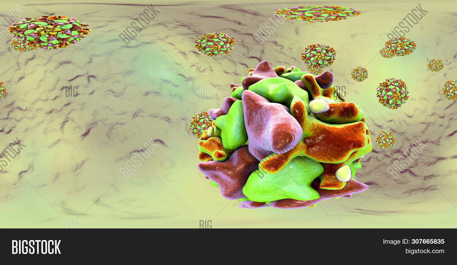 Polioviruses, 360 Image & Photo (Free Trial) | Bigstock