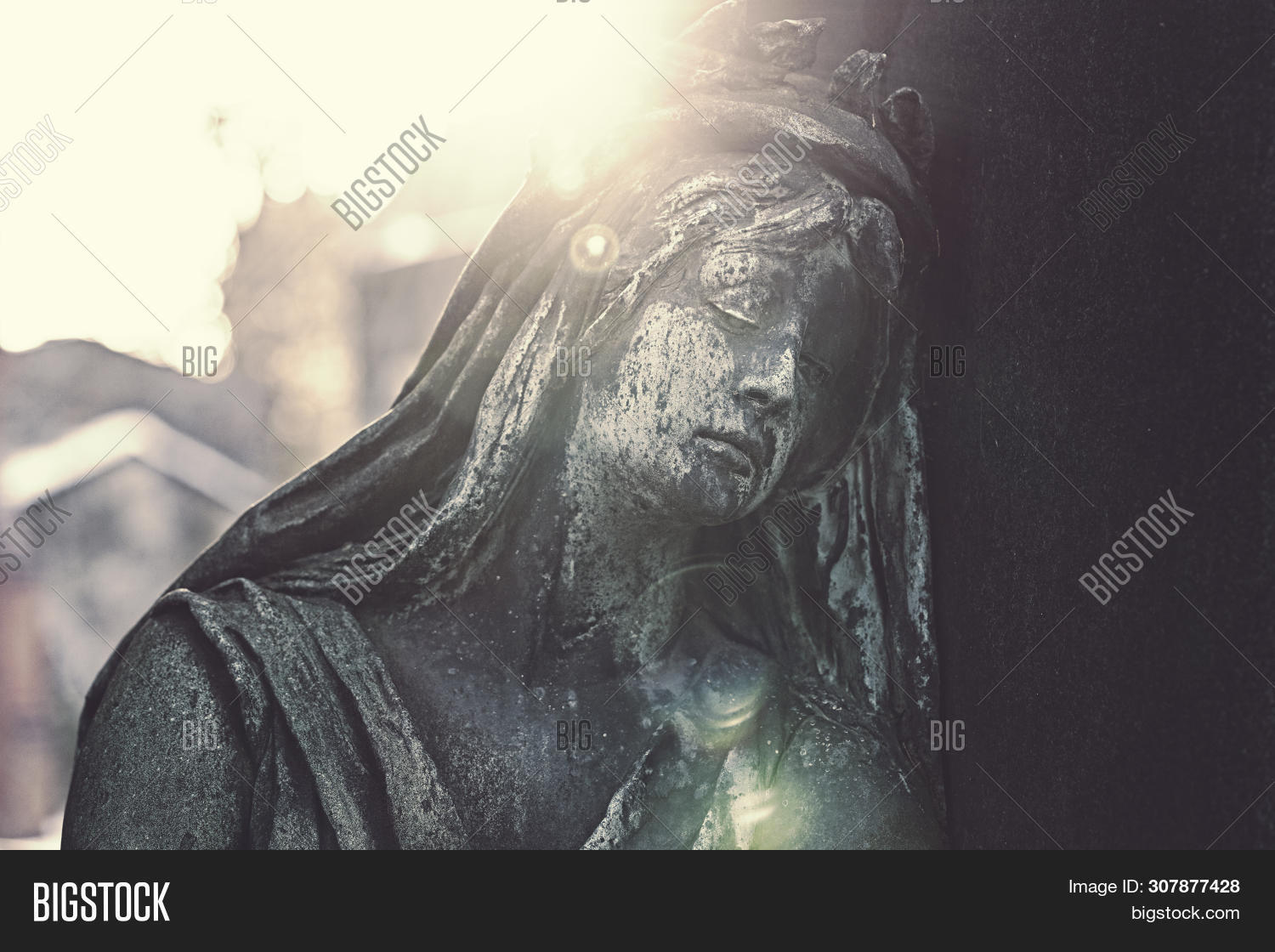 Imagen y foto Backlight Shot (prueba gratis) | Bigstock