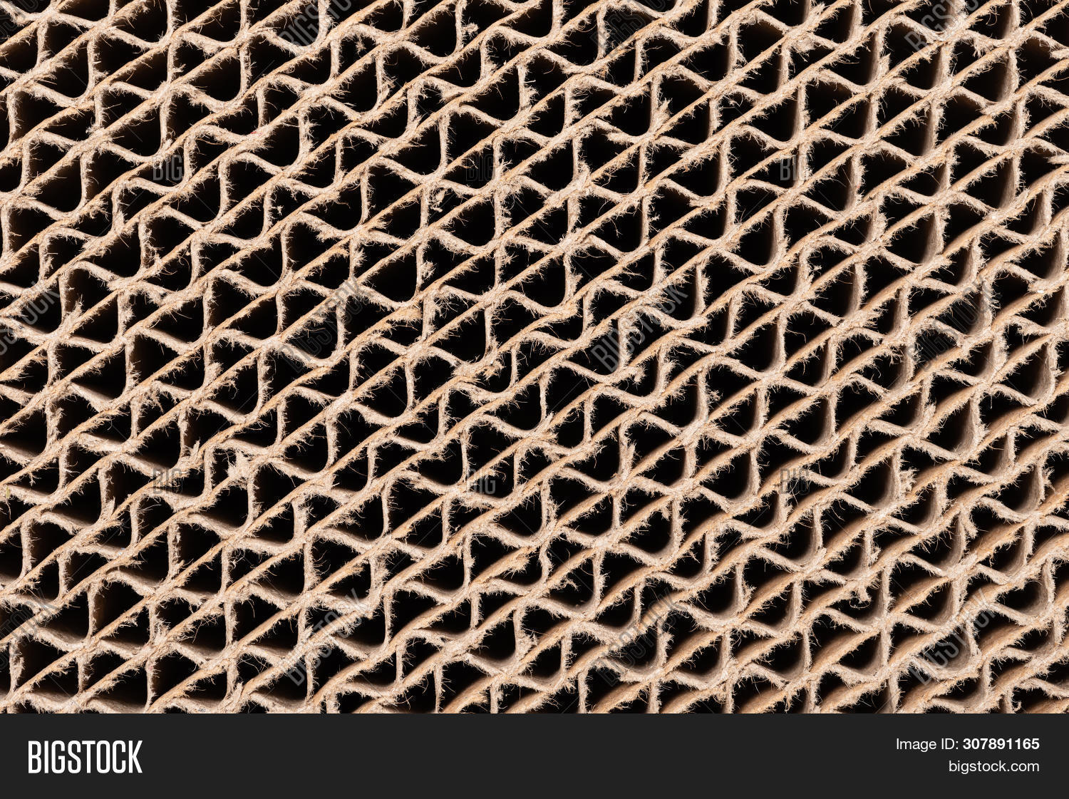 Cross Section Image & Photo (Free Trial) | Bigstock